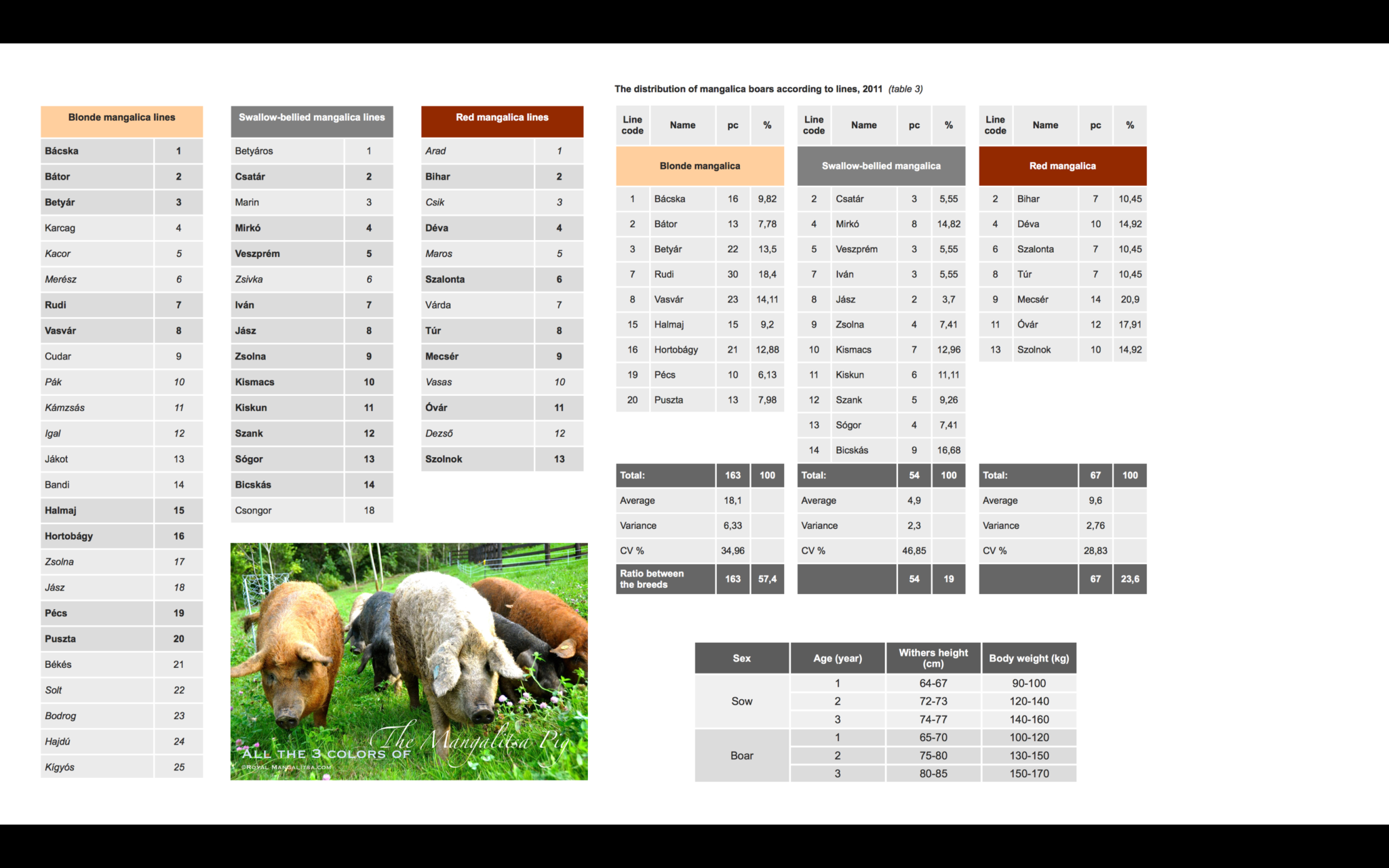 HISTORY OF THE BREED – MBOAR