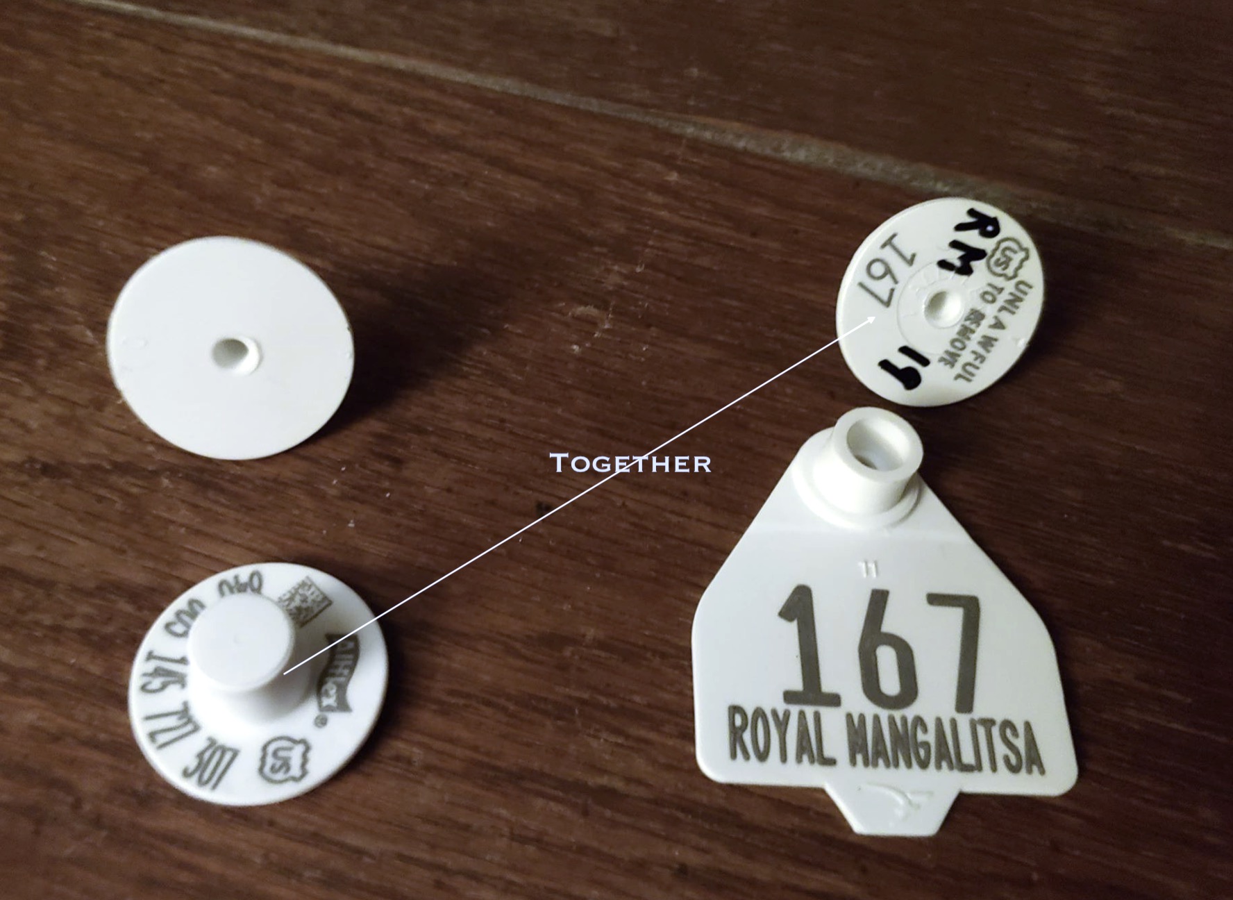 SUBMITTING DNA – MBOAR