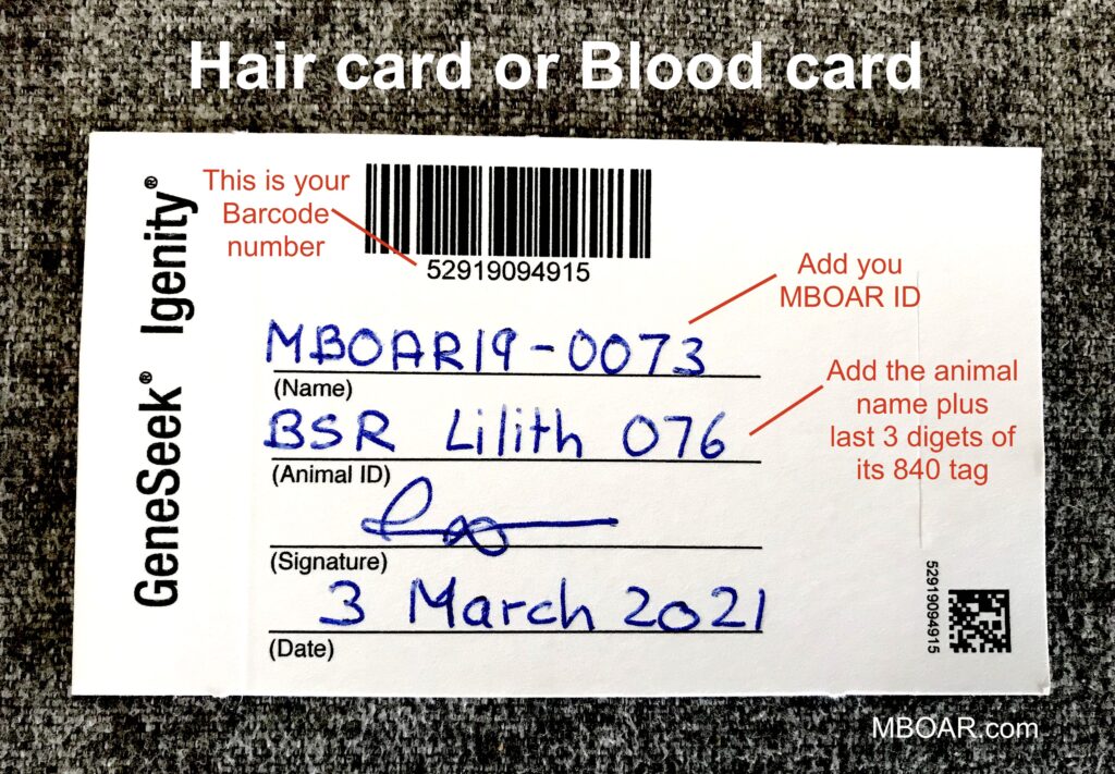 SUBMITTING DNA – MBOAR